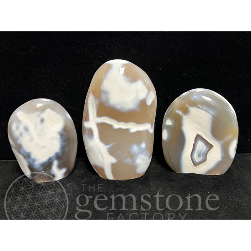 Orca Agate Free Form